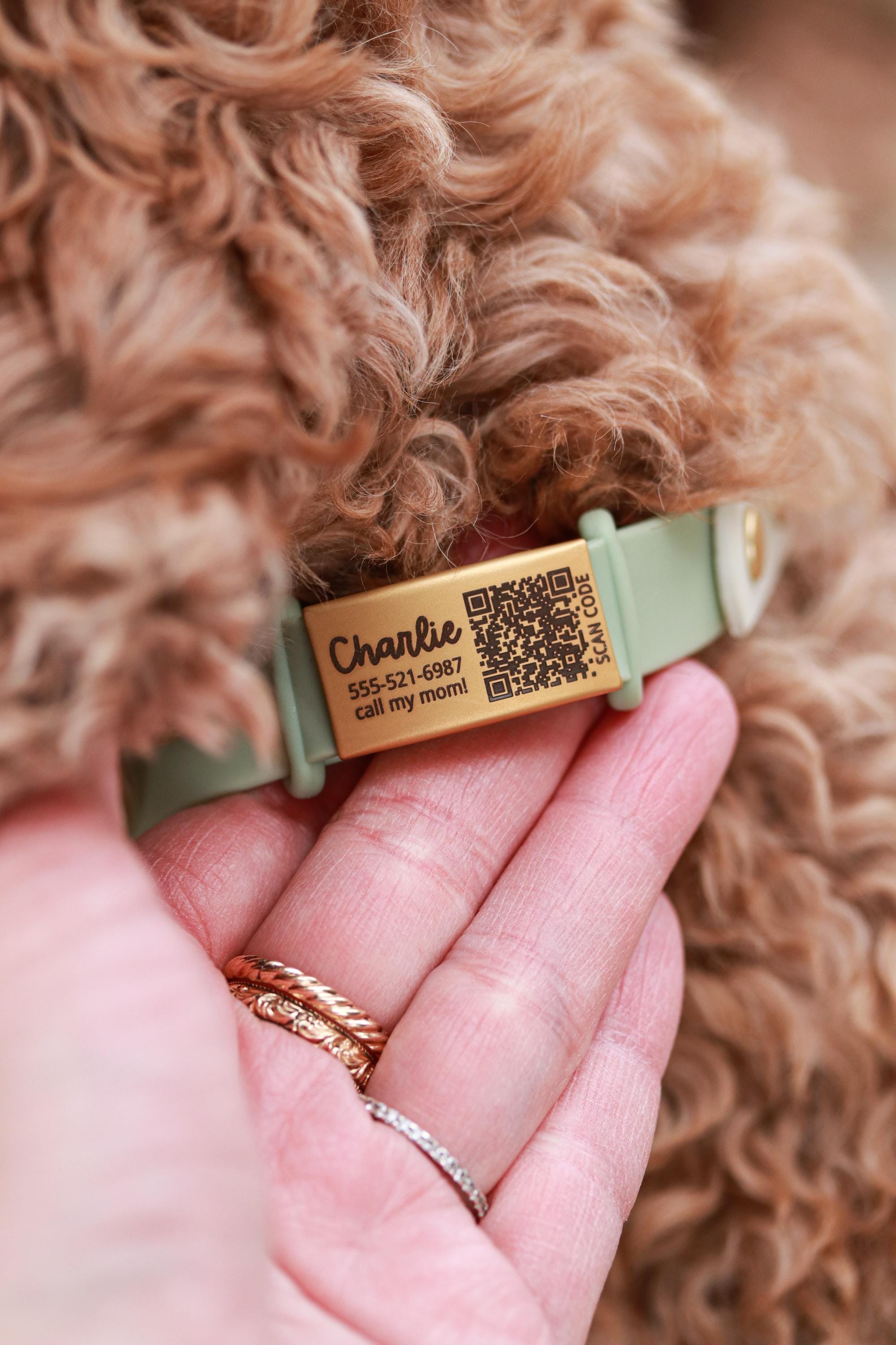 Silicone QR Code Dog Tag – Silent Custom Pet ID Tag, Waterproof Slide ...