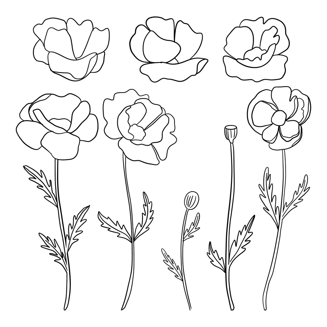 Handmade Flower Vector Set - Easy to Use for Any DIY Design Projects - Etsy