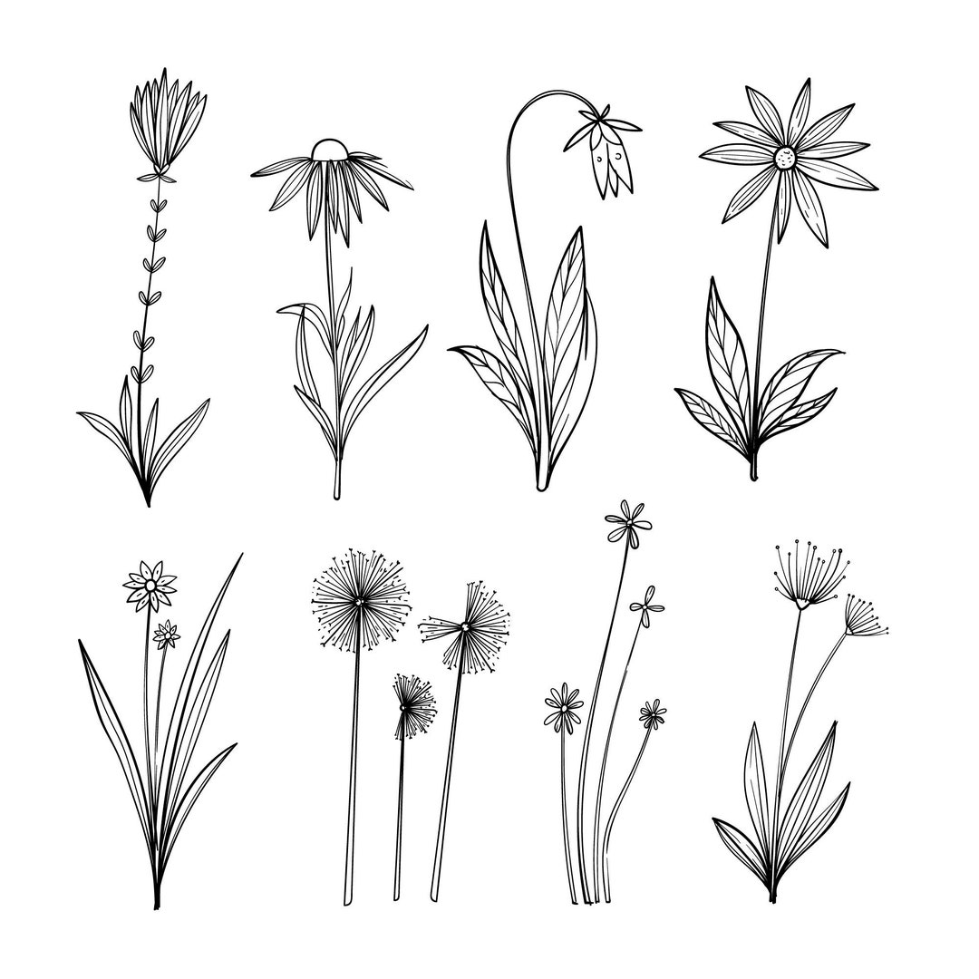 Handmade Flower Vector Set Easy to Use for Any DIY Design Projects - Etsy