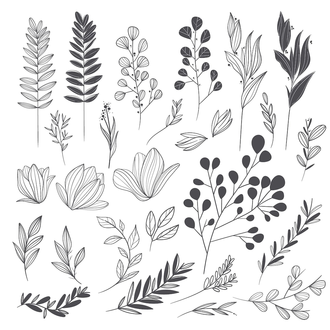 Handmade Leaf Vector Set - Easy to Use for Any DIY Design Projects - Etsy