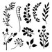 Handmade Leaf Vector Set - Easy to Use for Any DIY Design Projects - Etsy