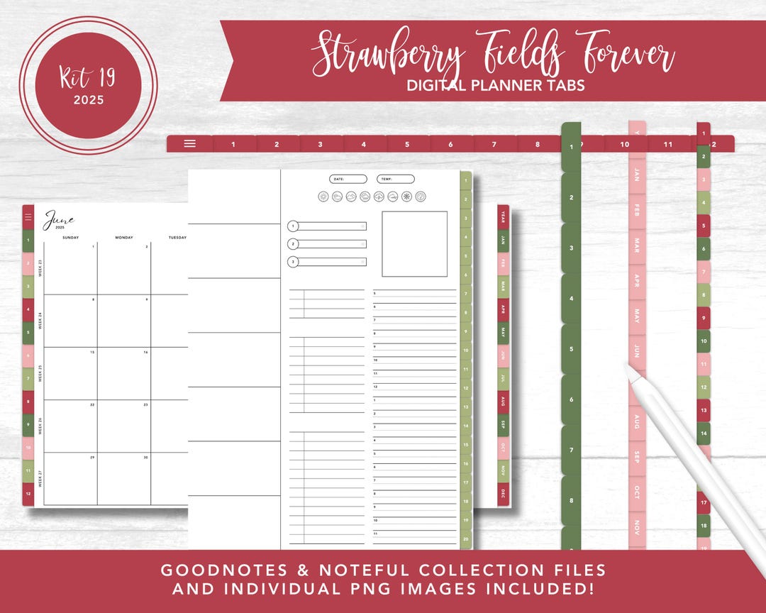 2025 Kit 19 Digital Planner Tabs | Strawberry Fields Forever ...