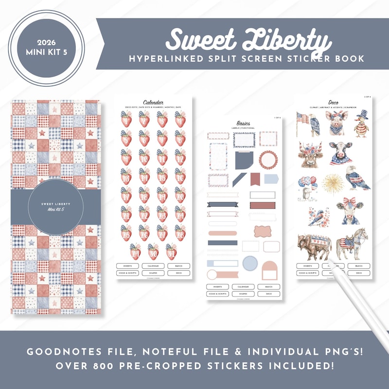 2026 Sticker Kit - Etsy