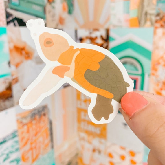 Baby Sea Turtle Sticker Sea Creature Sticker Laptop - Etsy