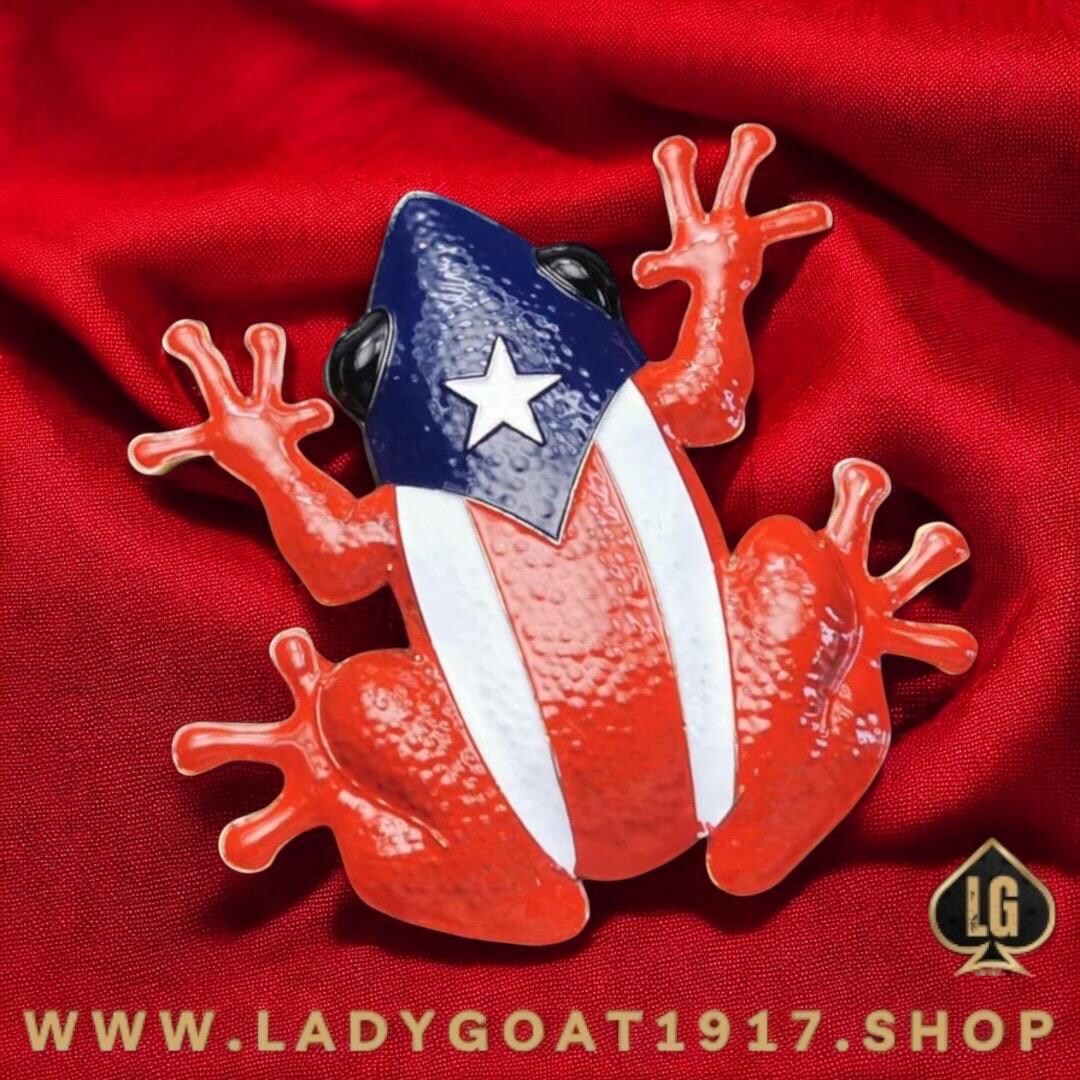 Boricua Chief | Coqui | Lady Goat | Challenge Coin | Chick Chief | Gift ...