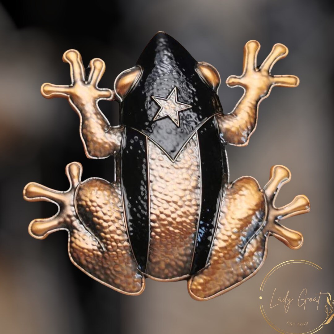 Boricua Chief Navy Challenge Coin Sailor Coin Chick Chief Coin - Etsy