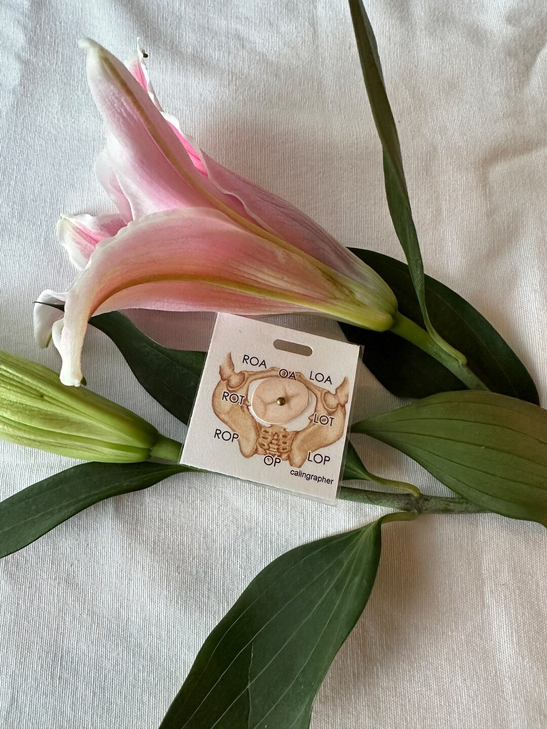 Fetal Head Position Badge Buddy - Etsy