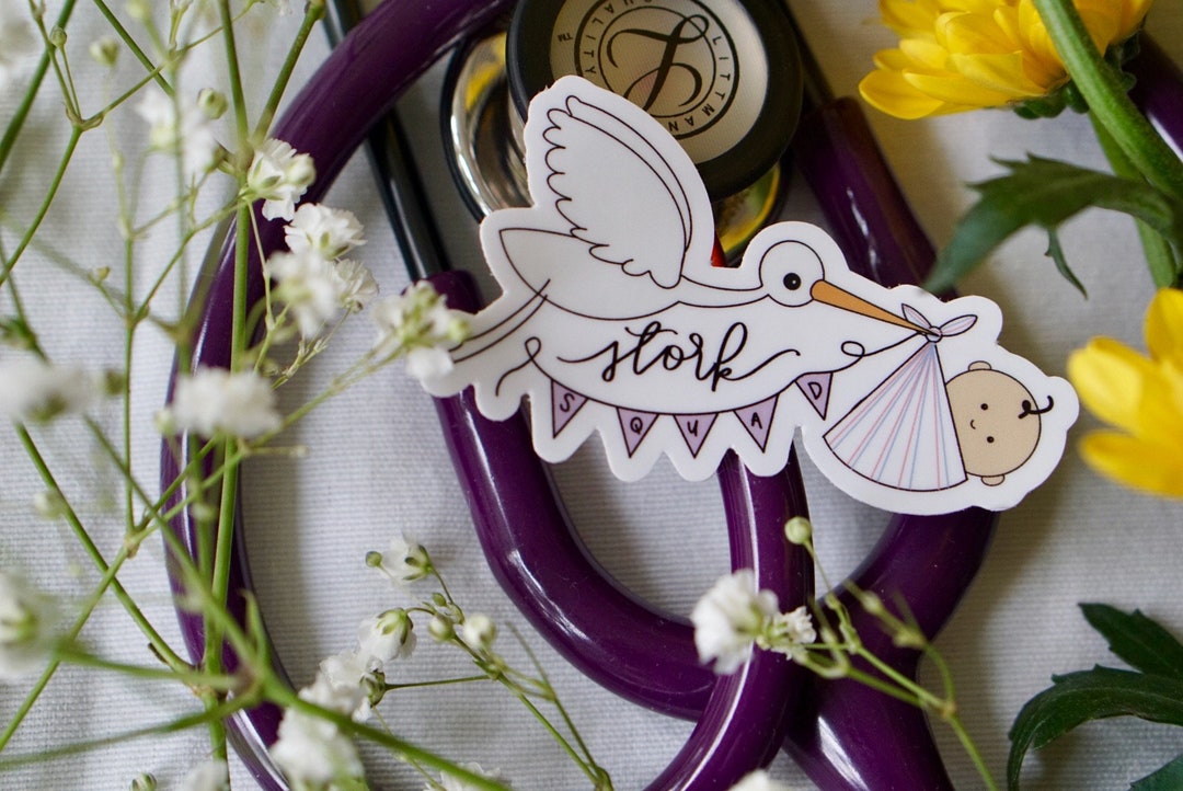 Stork Squad Sticker, Labor and Delivery, Postpartum, Nurse, OB - Etsy
