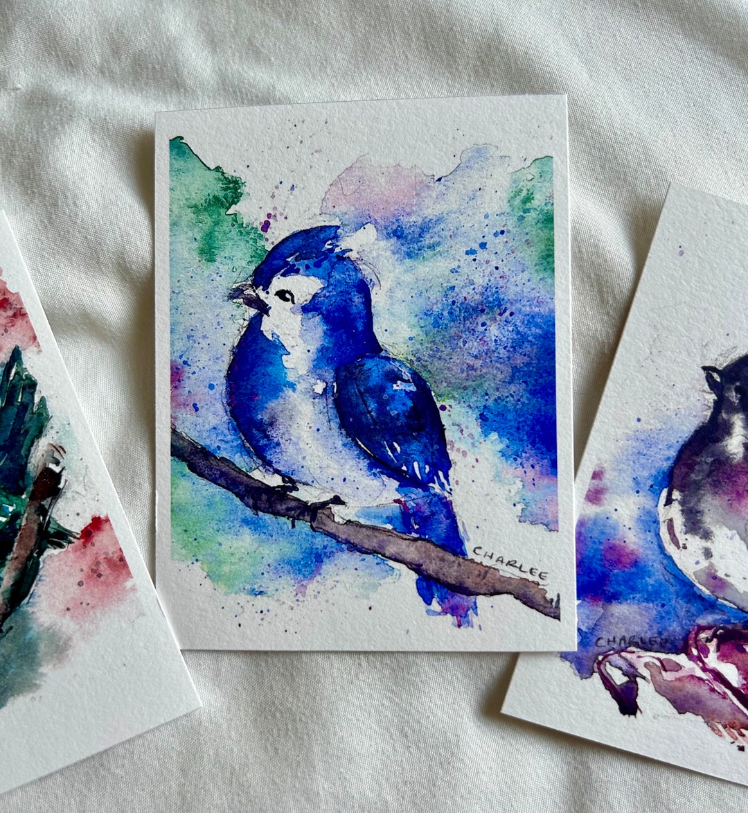 Set of 3 Small Bird Art Prints - Etsy