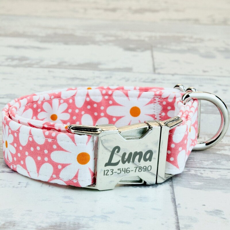 Dog Collar - Etsy