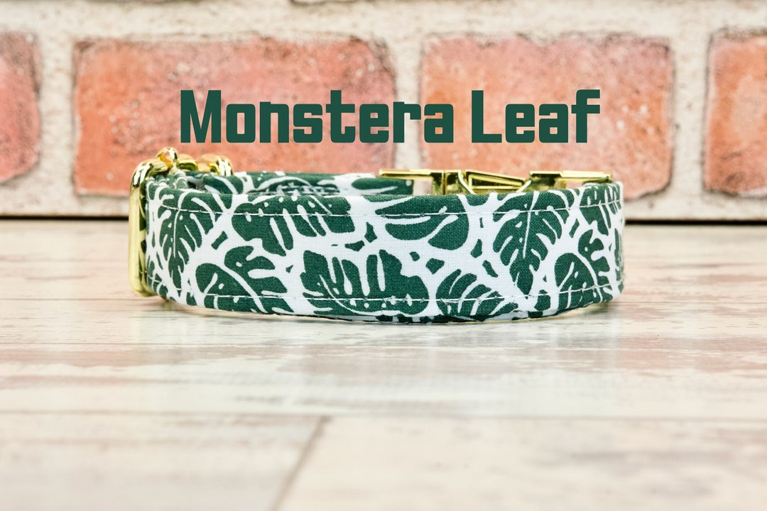 Monstera Leaf Dog or Cat Collar & Leash W/ Metal Buckle or Plastic ...