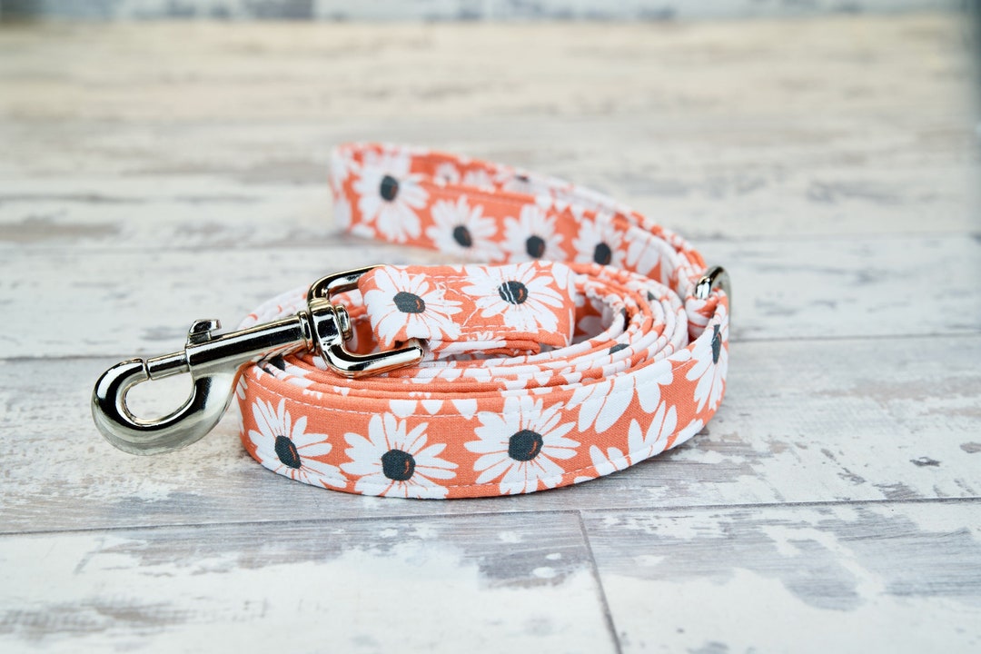 Matching Dog Leashes, 1 Inch Wide, 4ft or 6ft Long,metal Hook, Girl and ...