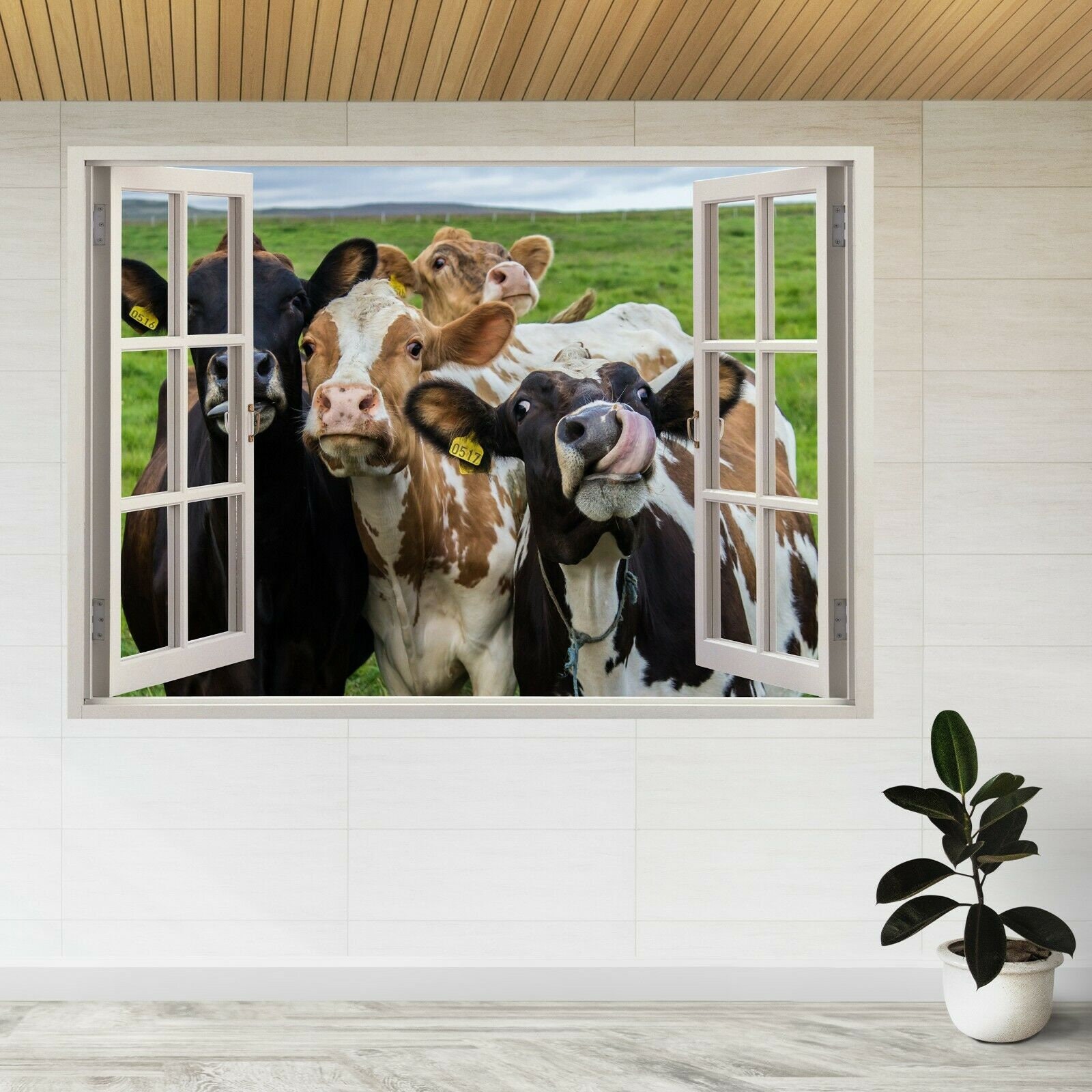 Funny Cows Looking at the Camera 3d Window View Wall Sticker Poster ...