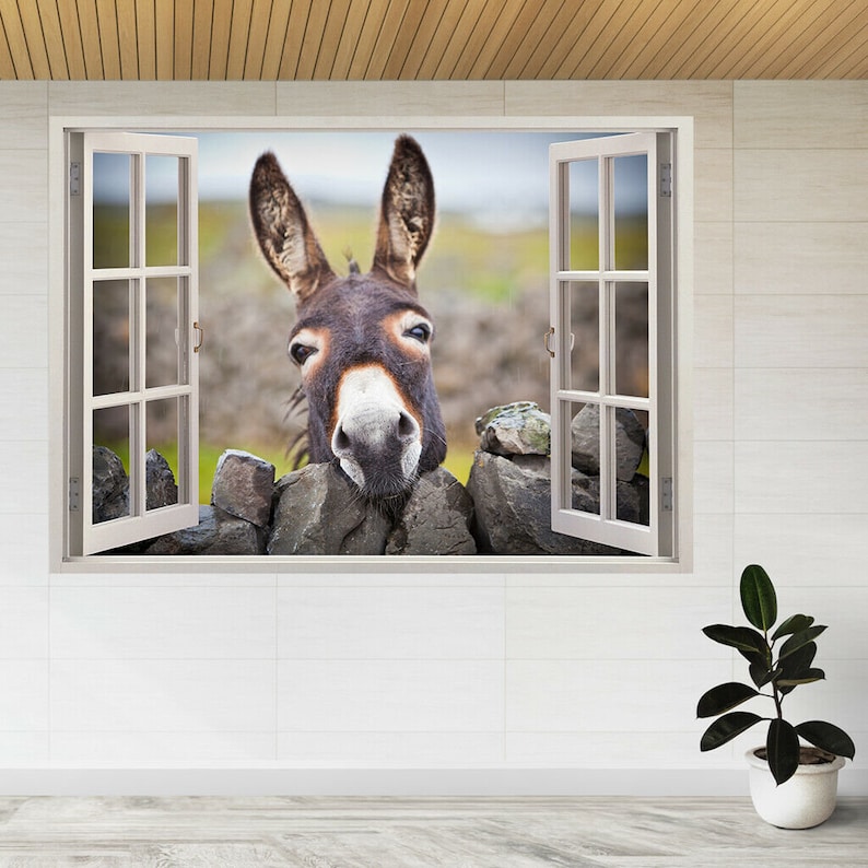 A Nice Donkey Under the Rain 3d Window View Wall Sticker Poster Decal ...
