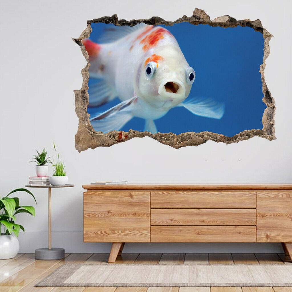 A Fish With Open Mouth & Big Eyes 3d Smashed View Wall Sticker Poster ...