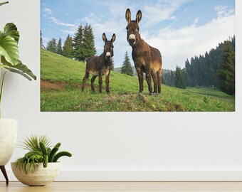 Donkeys Check I045 8 Sticker Decal Horseback Saddle Horseshoe Mule - Etsy