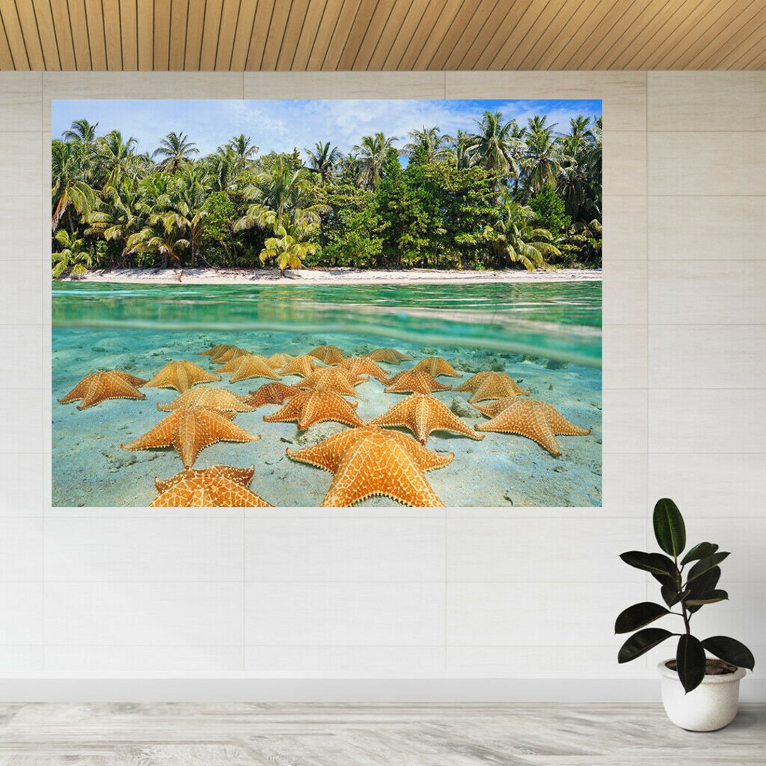 Tropical Star Fish Sea Beach Nature 3d View Wall Sticker Poster Decal ...