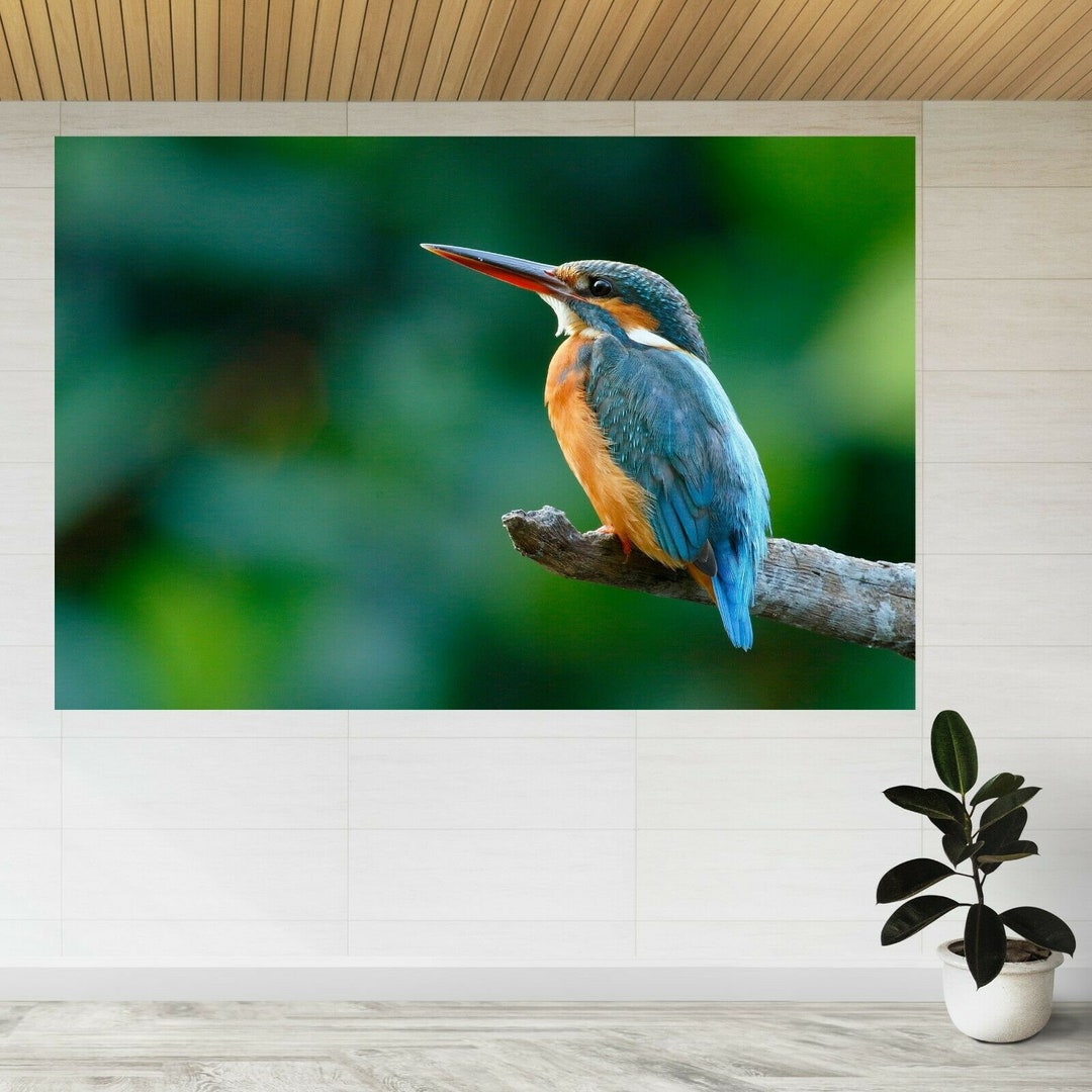 Birds Live in Ponds, Swamps 3d View Wall Sticker Poster Decal A208 - Etsy