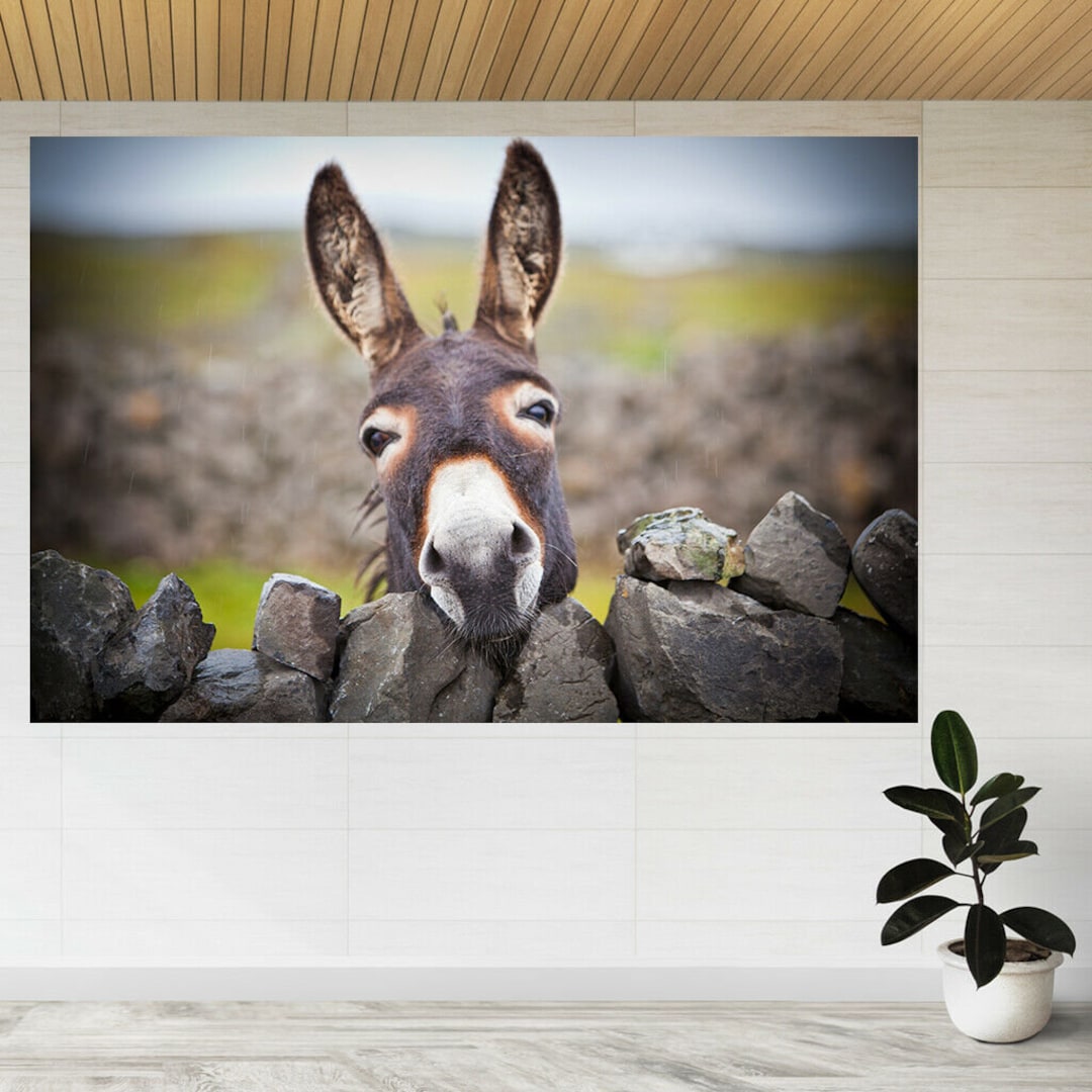 A Nice Donkey Under the Rain 3d View Wall Sticker Poster Decal A850 - Etsy