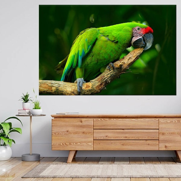 Macaw Poster - Etsy