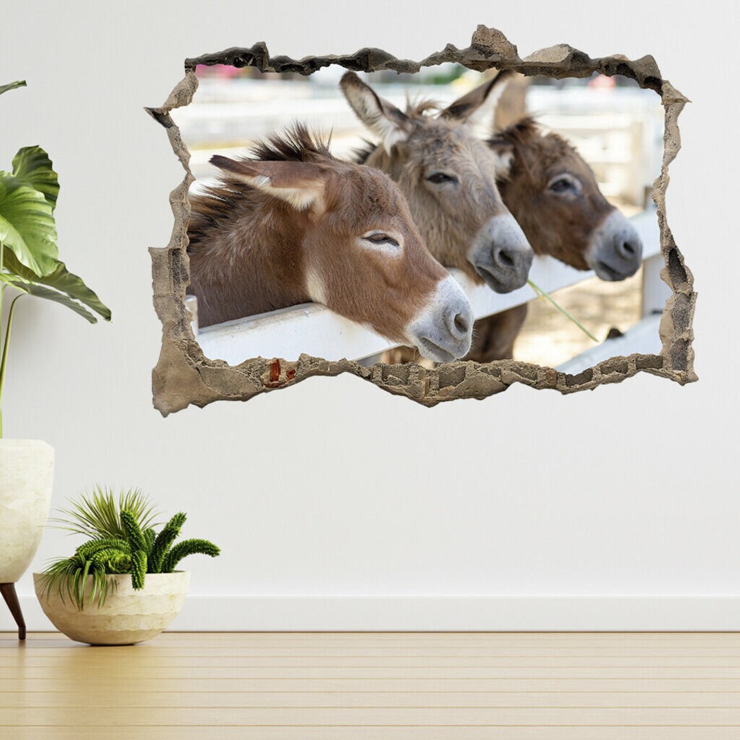 A Nice Donkey Under the Rain 3d View Wall Sticker Poster Decal A996 - Etsy
