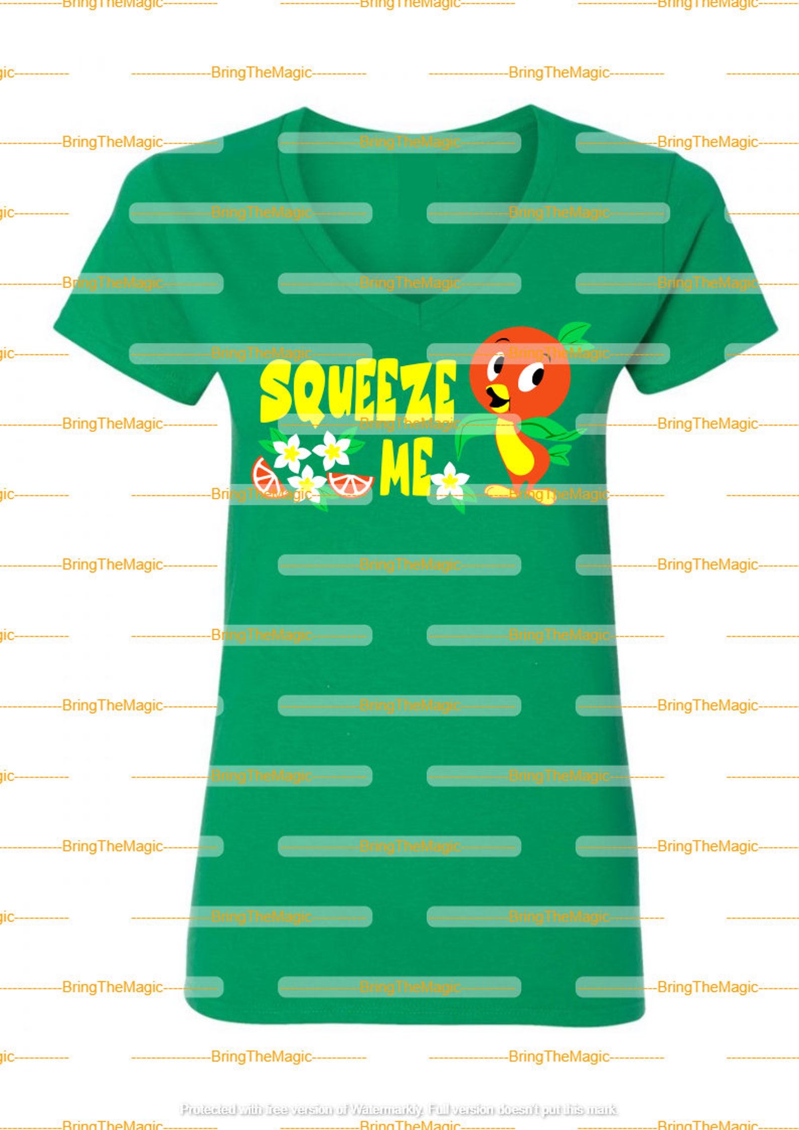 Florida Bird SVG, Squeeze Me, Transparent Background, PNG, Festival ...
