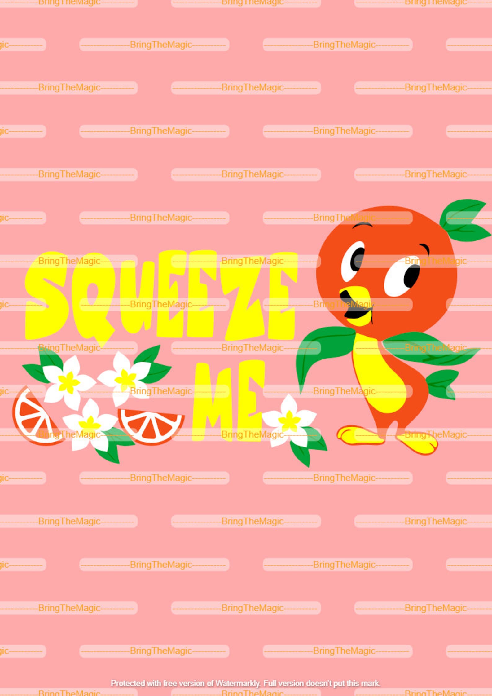 Florida Bird SVG, Squeeze Me, Transparent Background, PNG, Festival ...