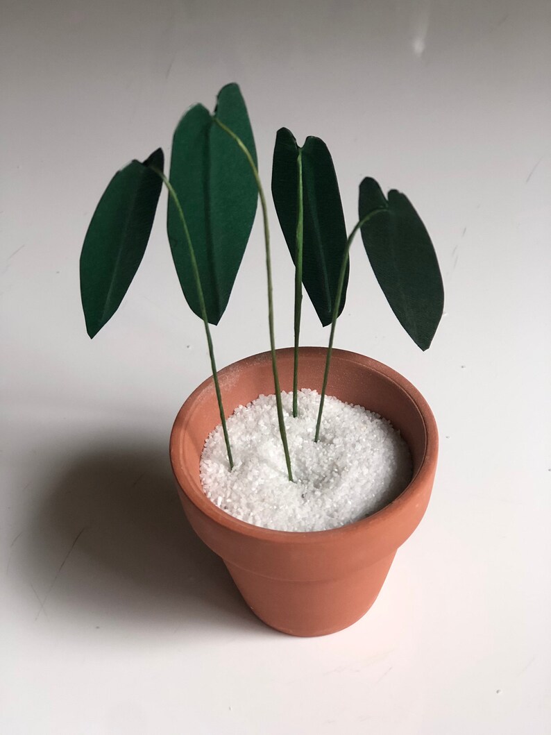 Mini Paper Plant Duo Anthurium Warocqueanum & Clarinervium | Etsy