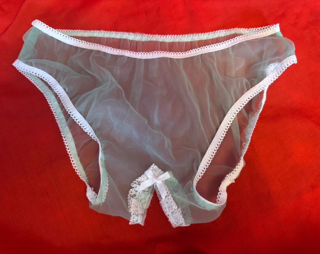 Sheer Seamless Open Crotch Panties - Etsy