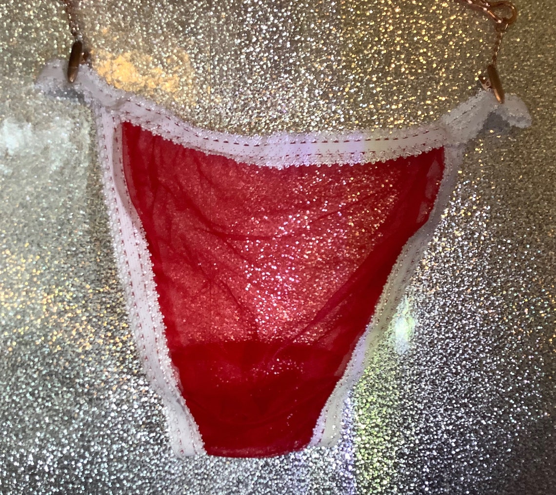 Vintage Style Sheer Tanga Panties - Etsy