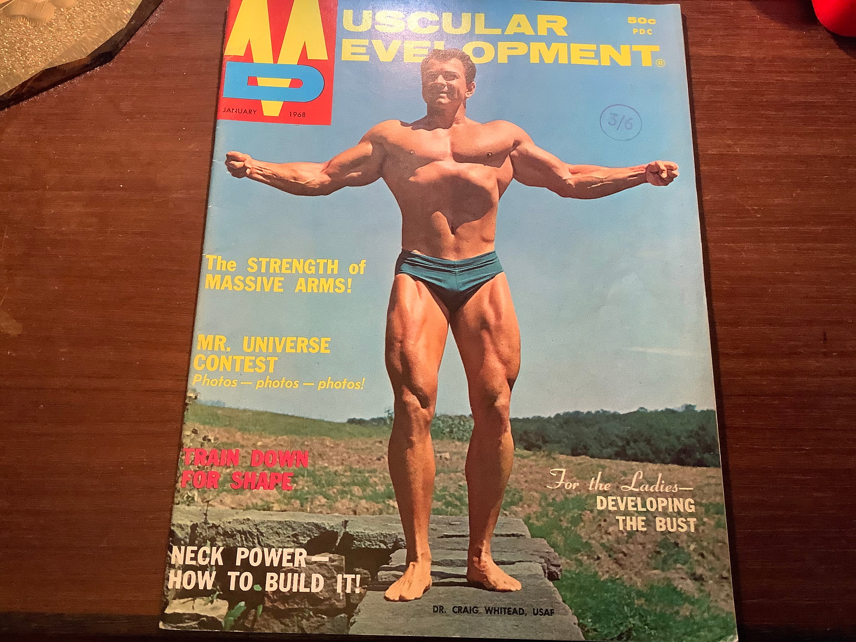 Digital Diva Muscular Development