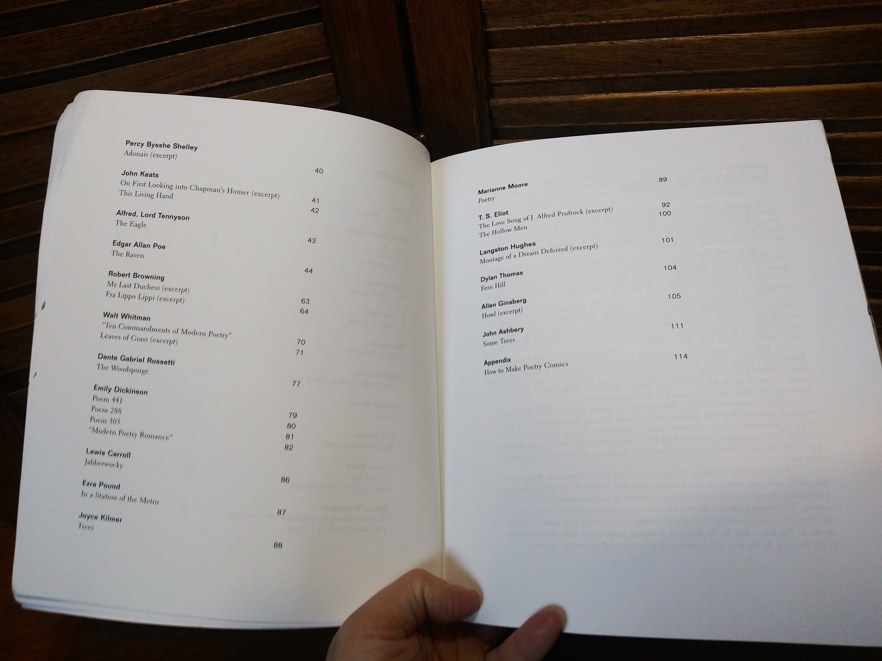 Poetry Comics an Animated Anthology by Dave Morice 2002 | Etsy