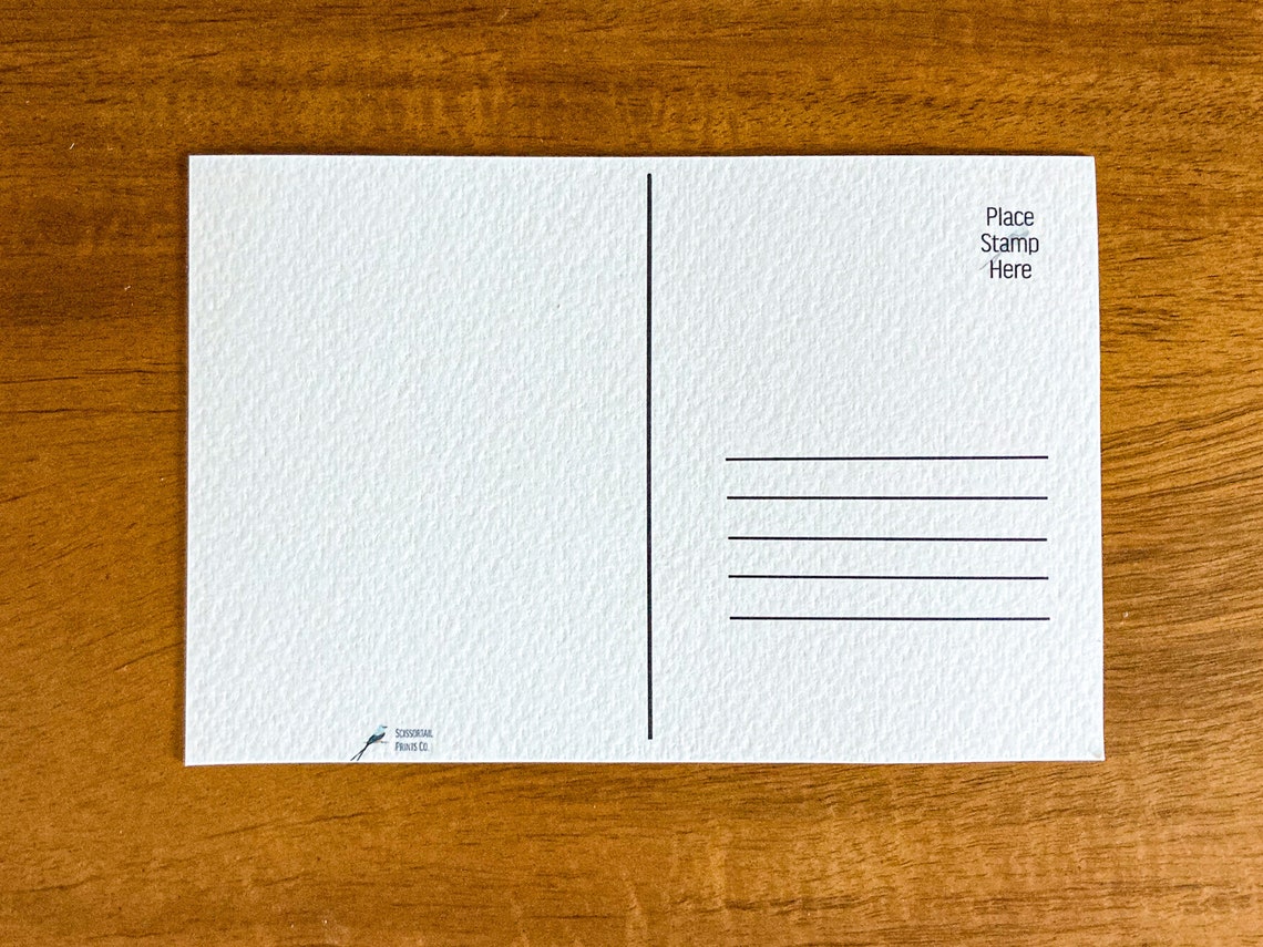 Bluebonnet Postcard - Set of 4 Postcards - Texas State Flower Postcard ...