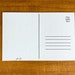 Bluebonnet Postcard - Set of 4 Postcards - Texas State Flower Postcard ...