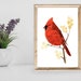Northern Cardinal Digital Download | Cardinal Print | State Bird - Etsy