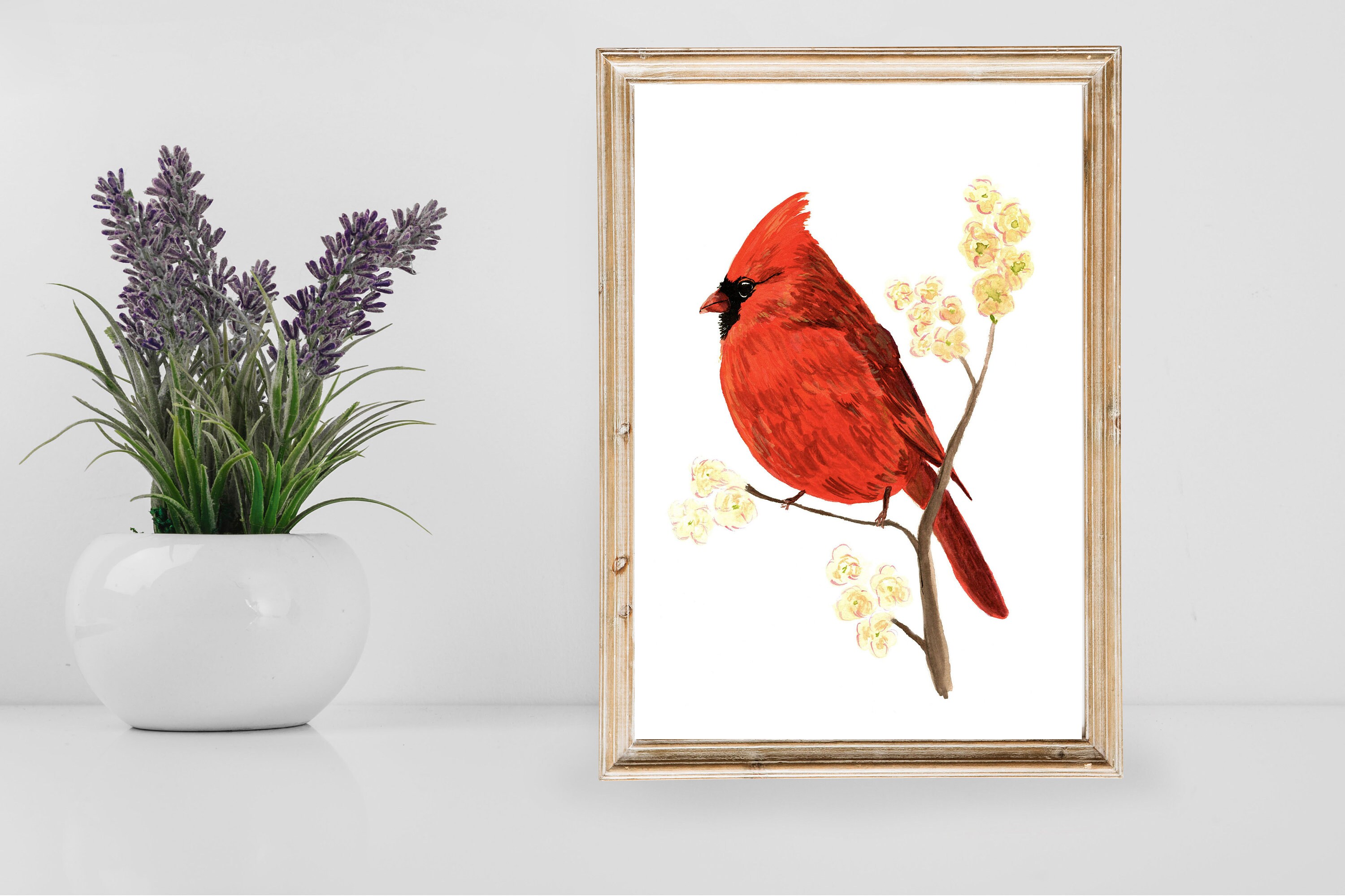 Northern Cardinal Digital Download Cardinal Print State Bird - Etsy