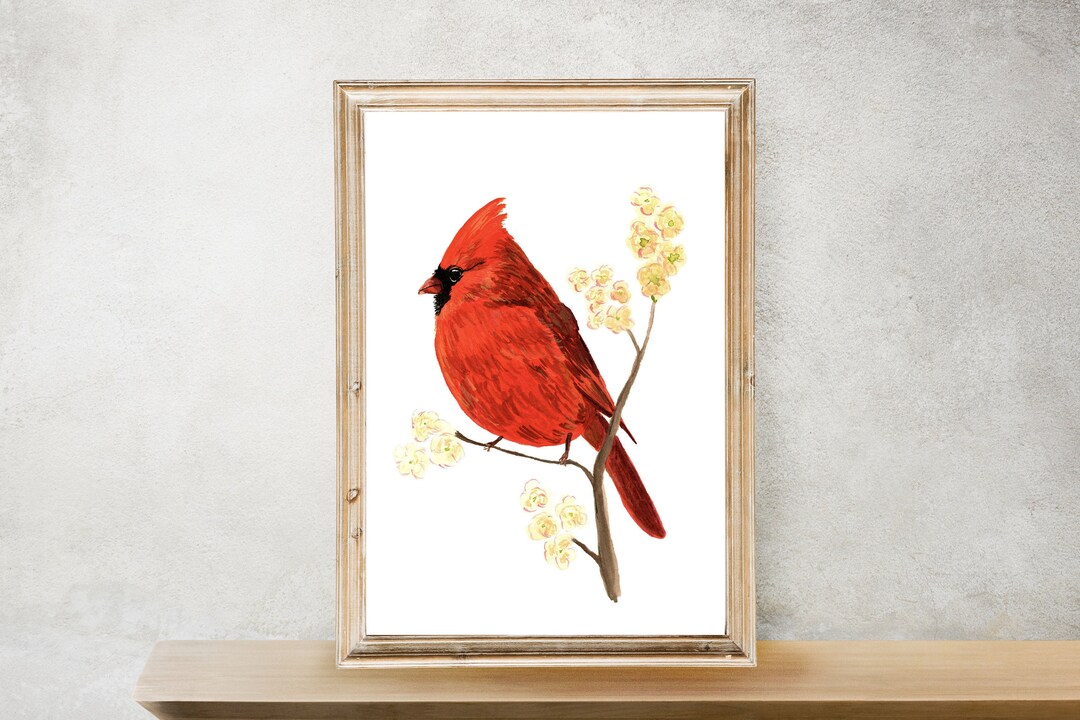 Northern Cardinal Digital Download | Cardinal Print | State Bird - Etsy