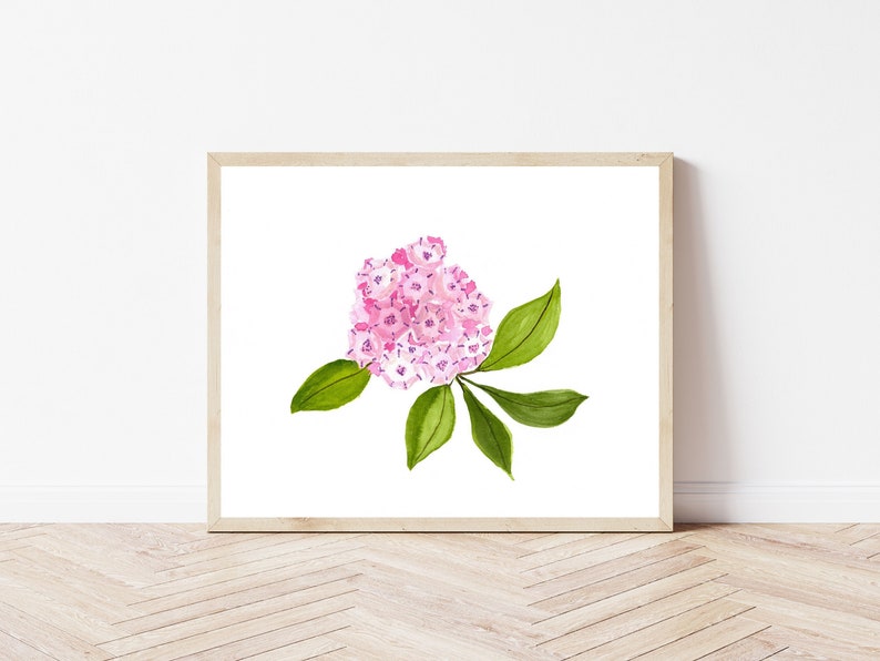 Mountain Laurel Watercolor Print - Pennsylvania State Flower - Etsy