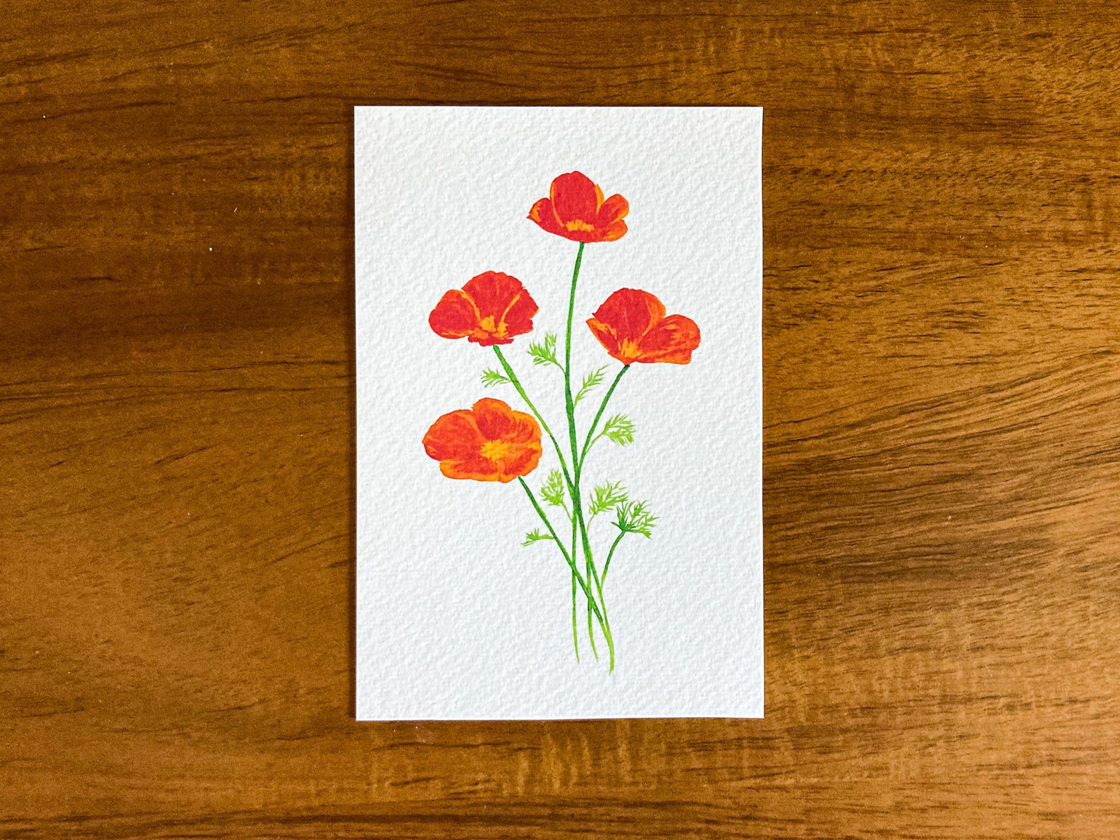 Floral Watercolor Postcards - Bluebonnet, Iris, Poppy, and Gladiolus ...