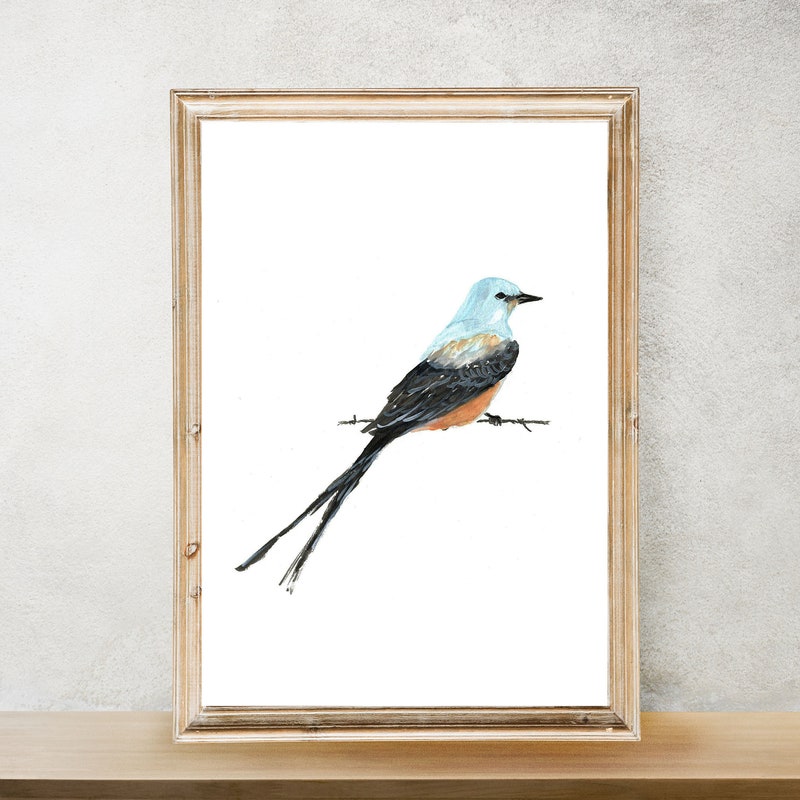 Scissortail Art - Etsy