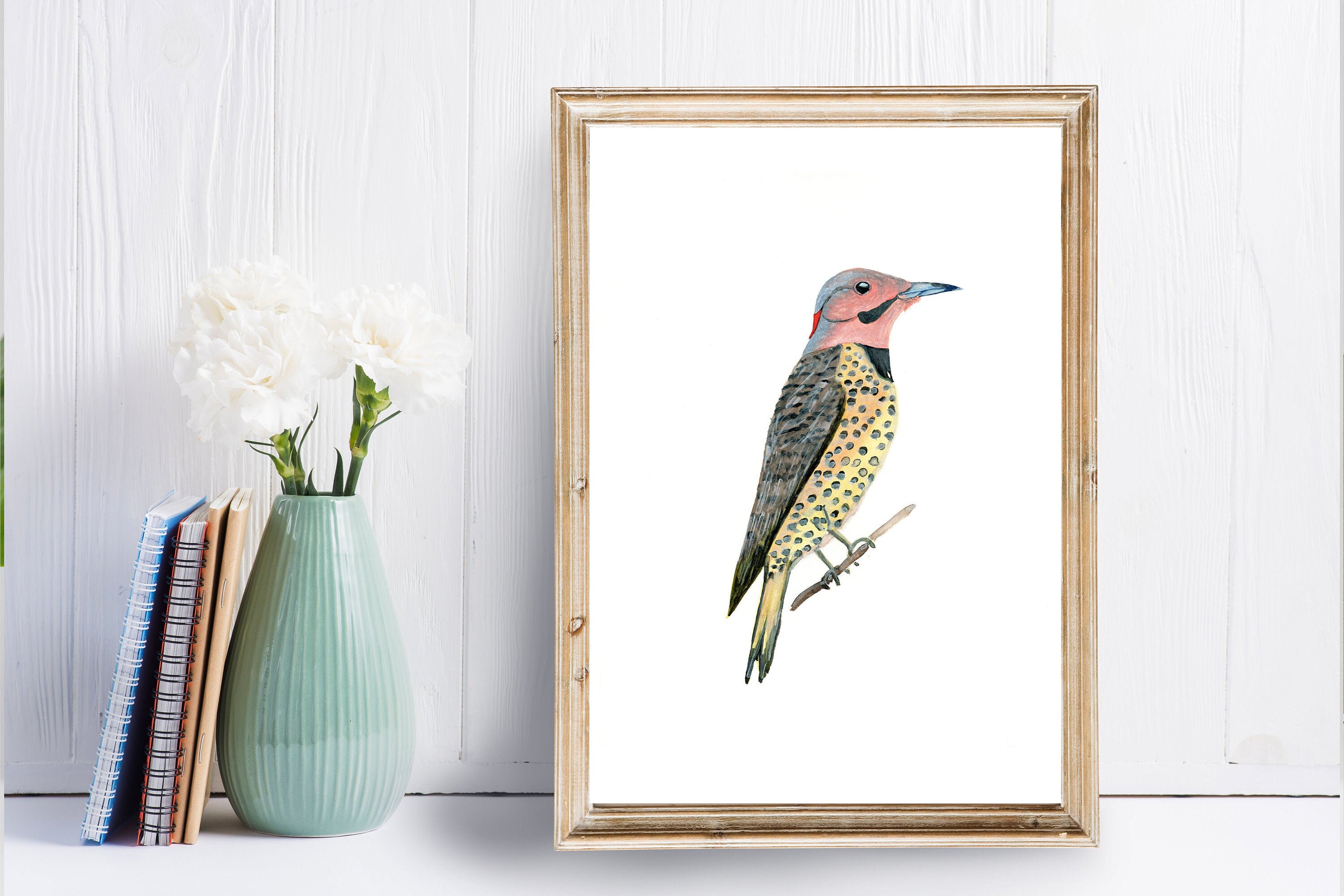 Northern Flicker Print - Woodpecker - Alabama State Bird - Yellowhammer - Etsy