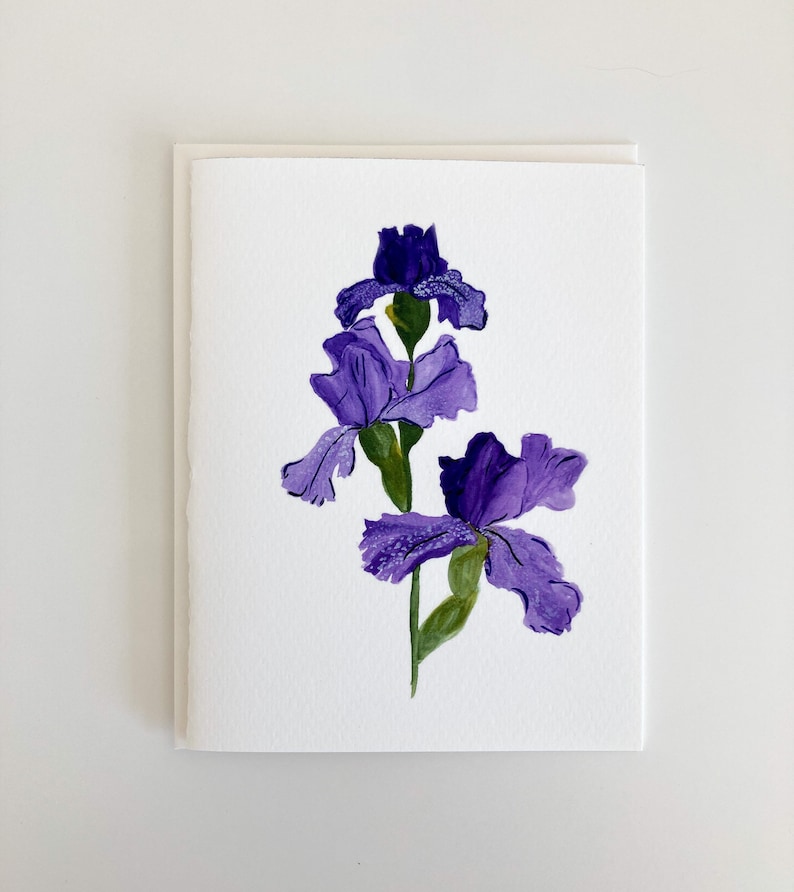 Iris Greeting Cards - Boxed Set of 4 Cards - Etsy