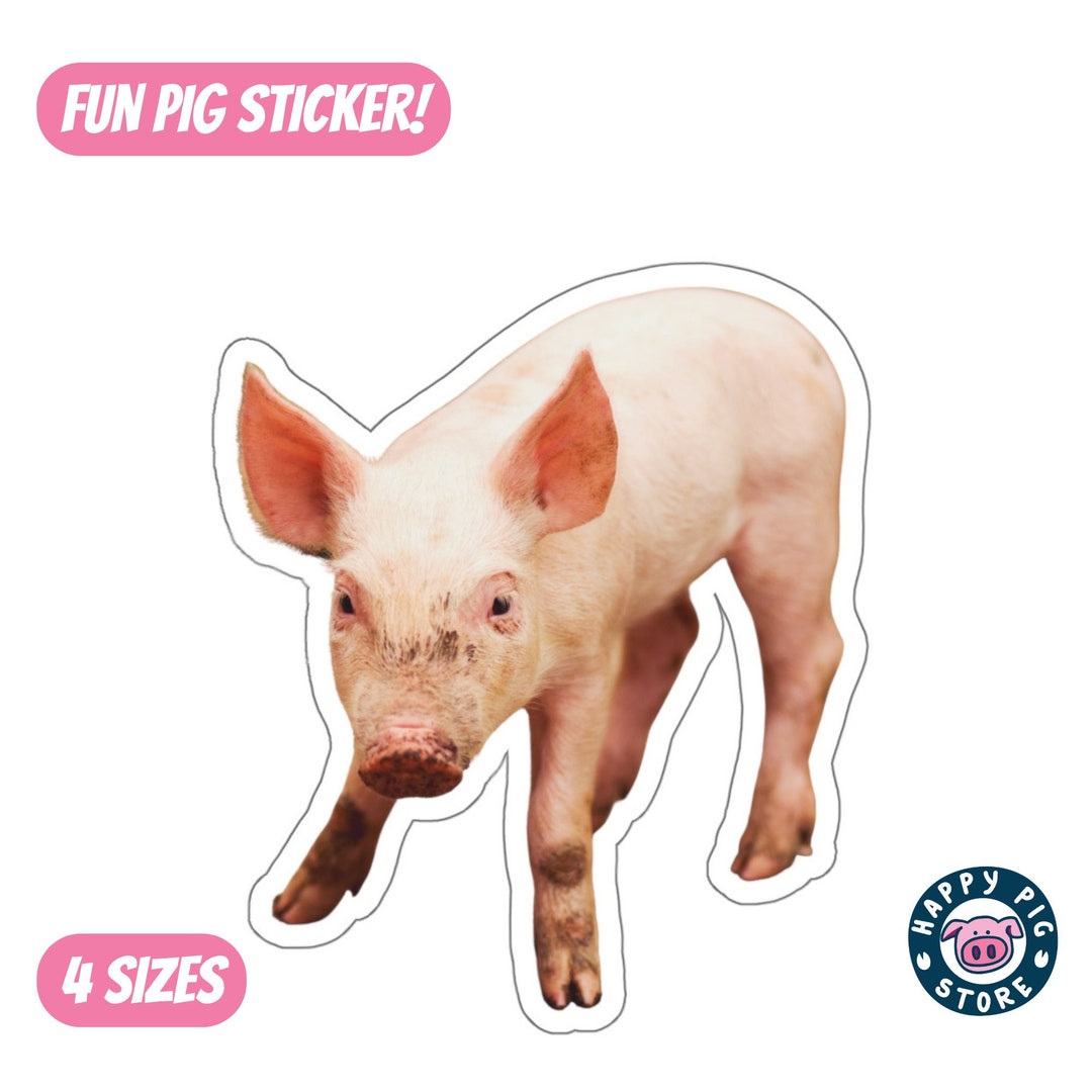 Pig Sticker, Cute Piggy Sticker, Piggy Gift, Love My Pig, Cute Piggy - Etsy