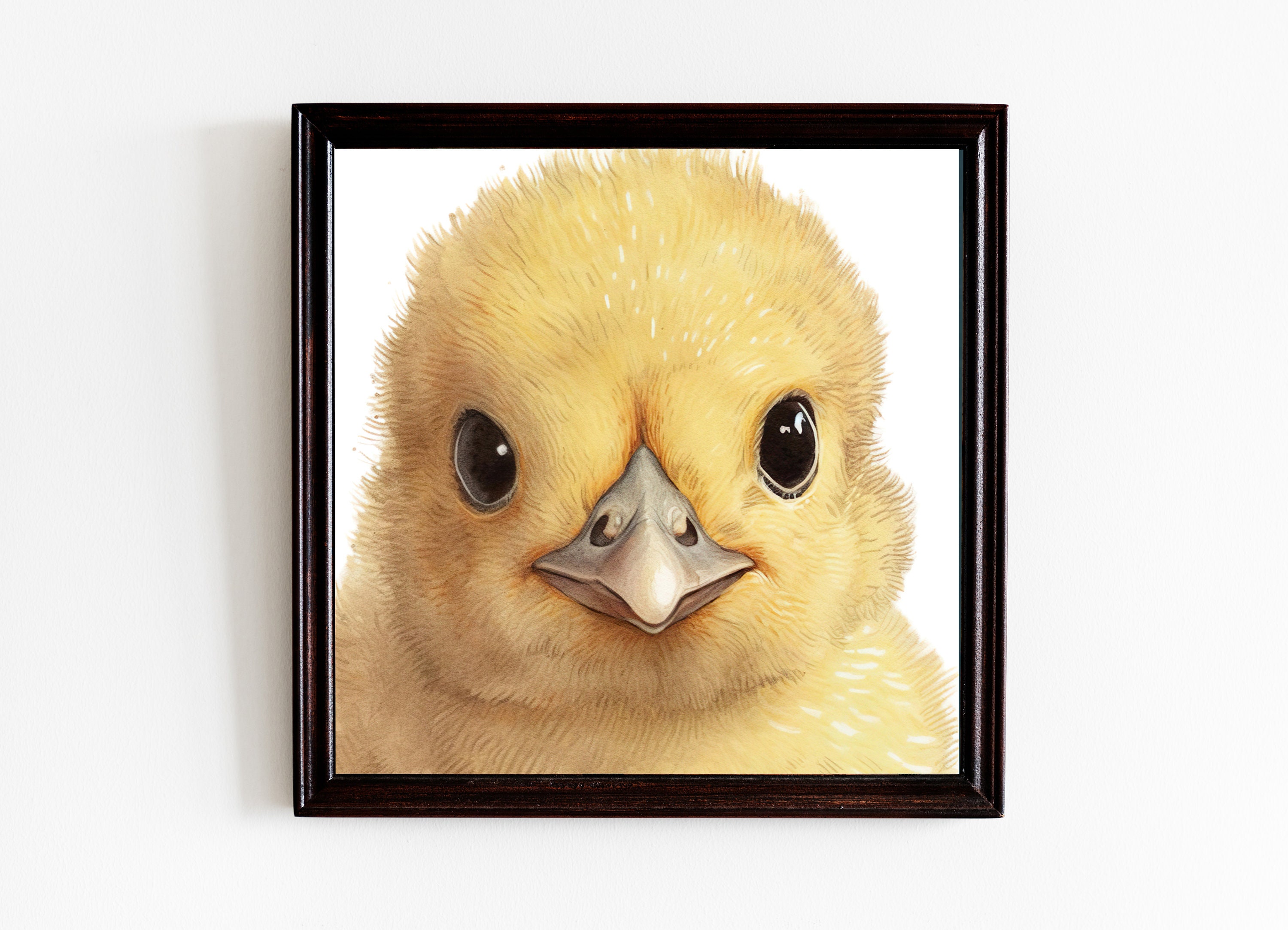 Baby Chick Face Close up Wall Art Full Color Black and - Etsy