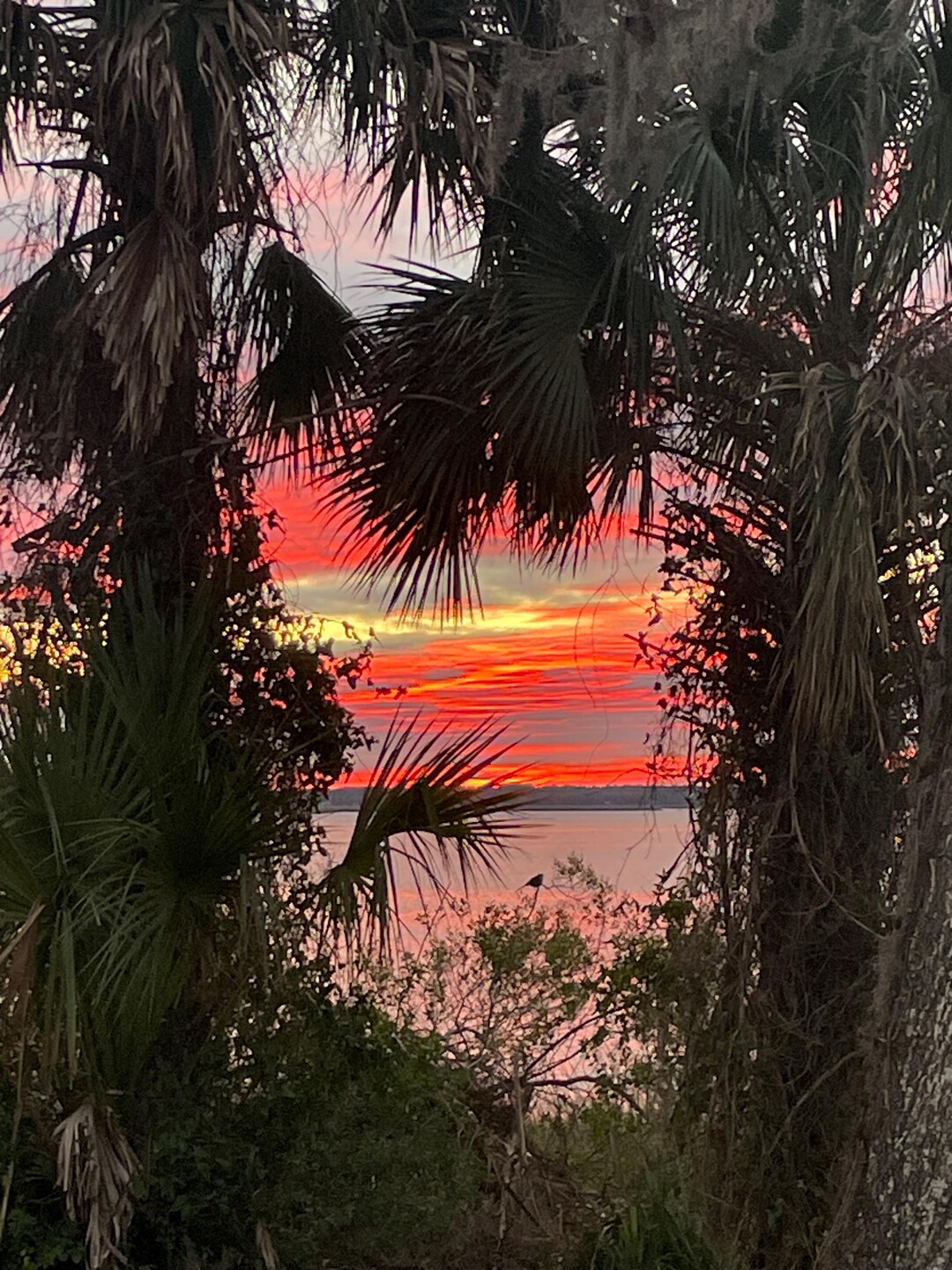 Sunset Photo Digital Download. - Etsy