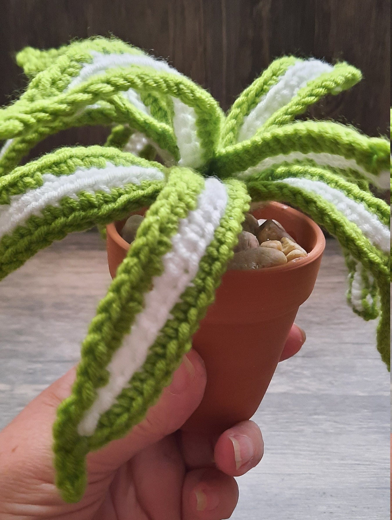 Faux Crochet Plants Coleus & Spider Plant - Etsy