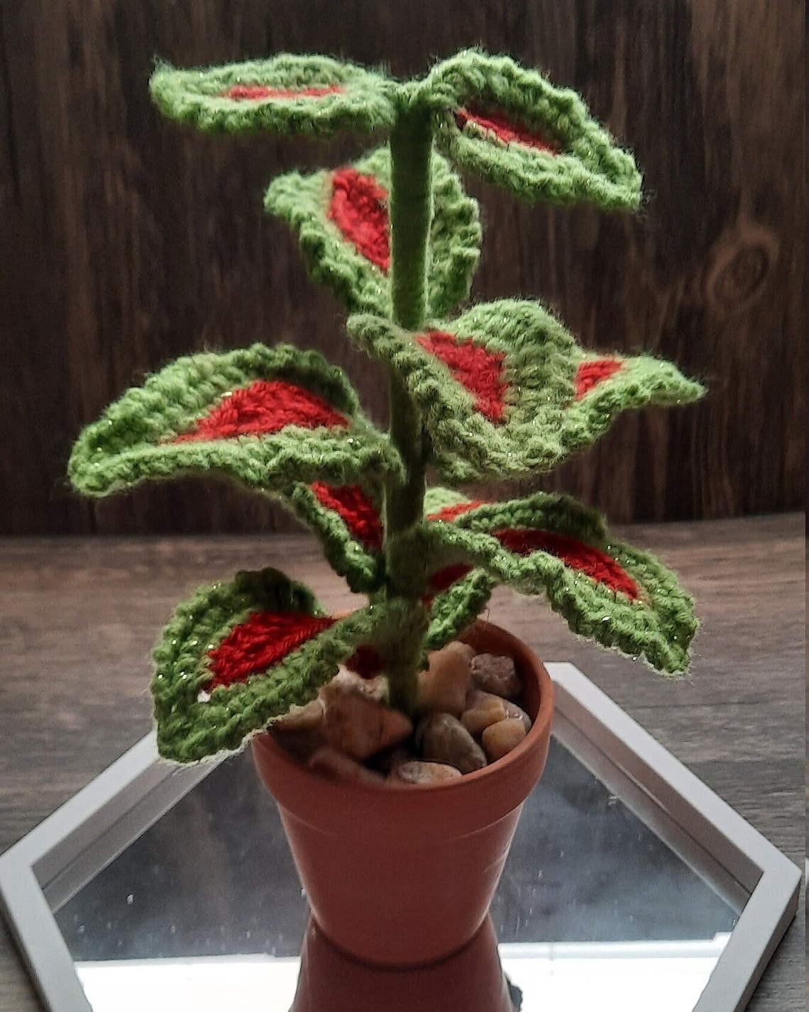Faux Crochet Plant Pattern - Coleus - Etsy