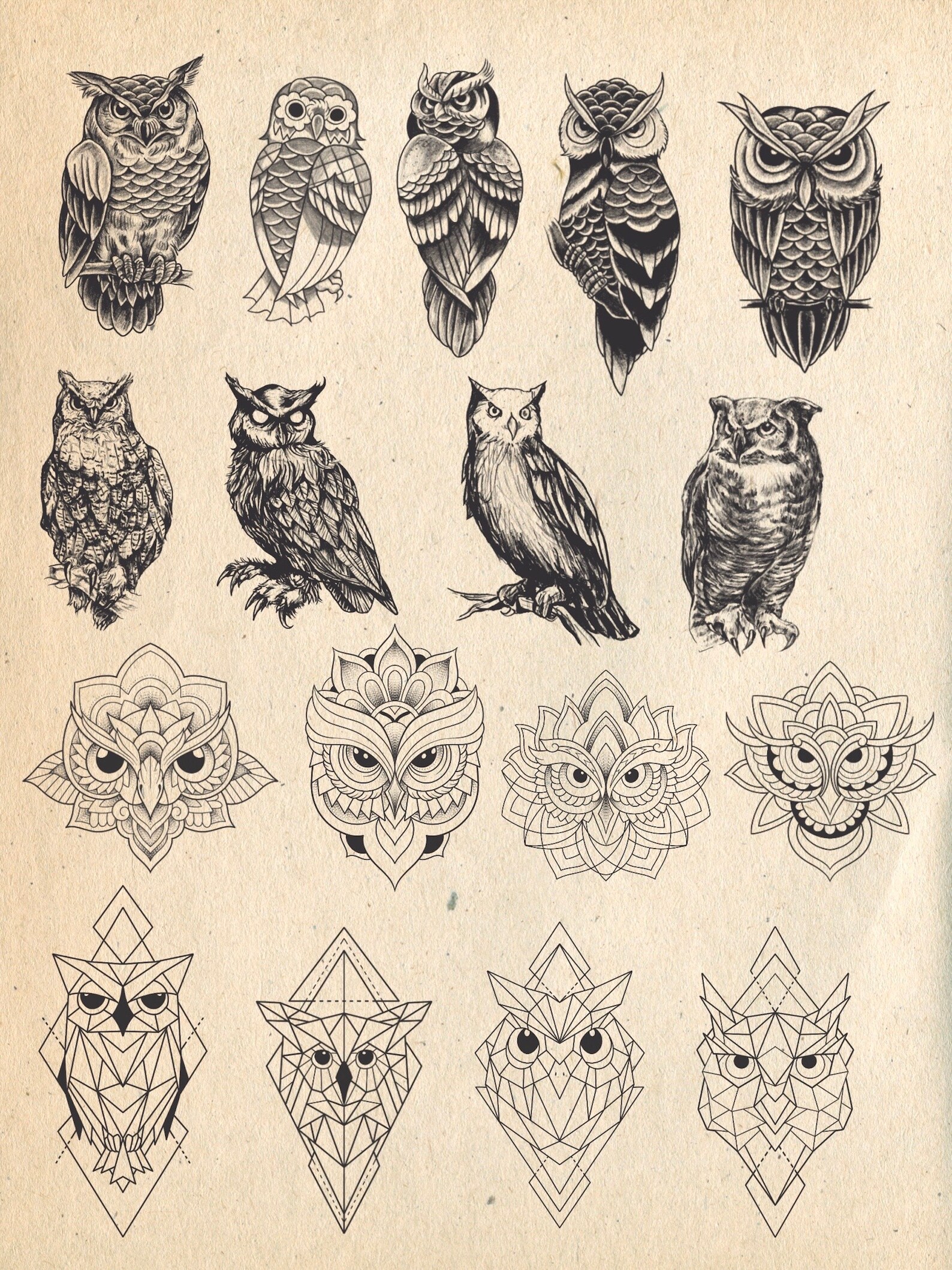 22 Owl Stamps // Brushes for Procreate on Ipad Tattoo - Etsy