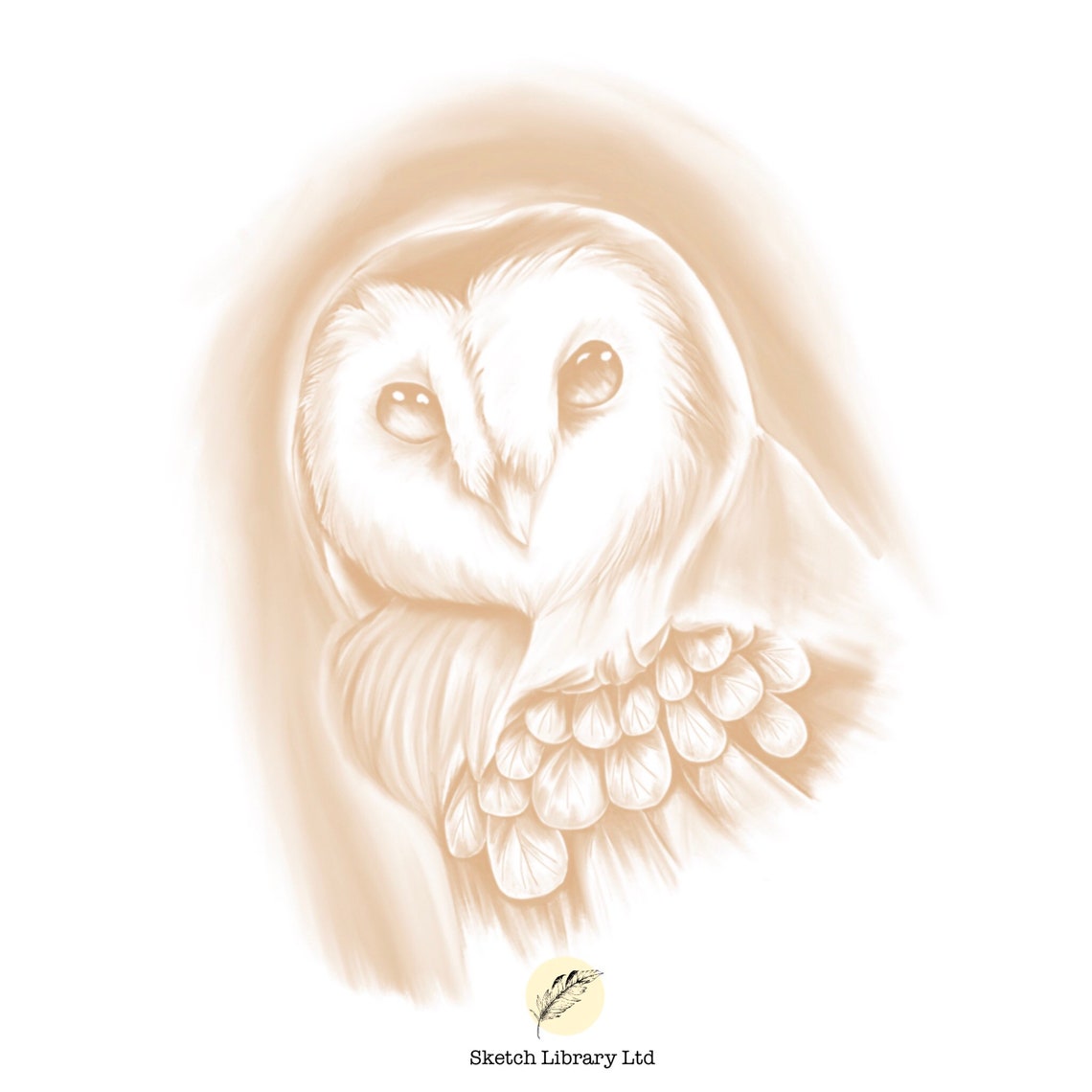 22 Owl Stamps // Brushes for Procreate on Ipad Tattoo - Etsy