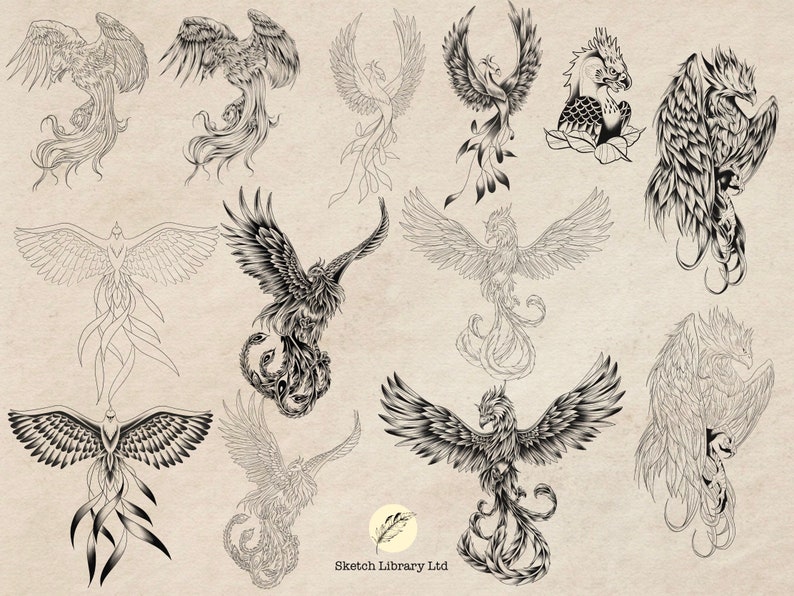 15 Phoenix Tattoo Stamps // Brushes for Procreate, Outline Drawing for ...